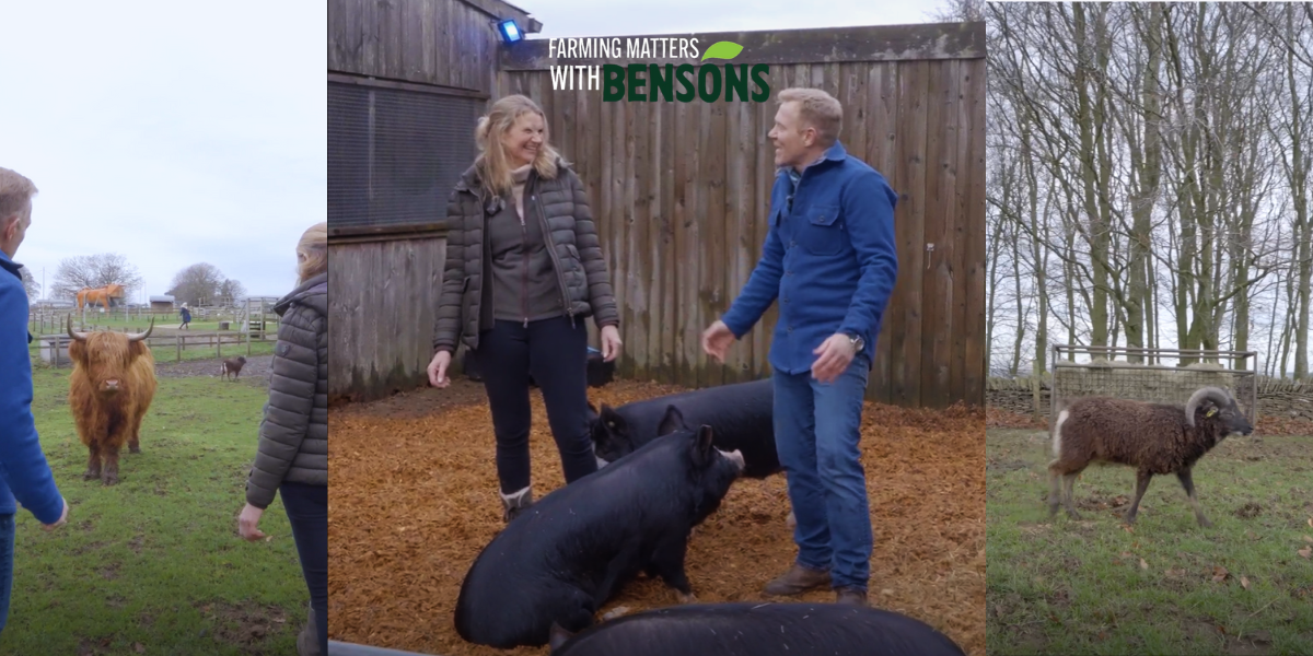 Farming Matters with Bensons: Winter Work at Cotswold Farm Park with A ...